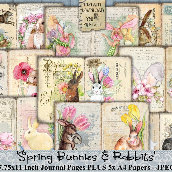 French Rabbit Printable - Etsy