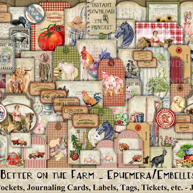 DigiAndSVGDesigns4U - Etsy