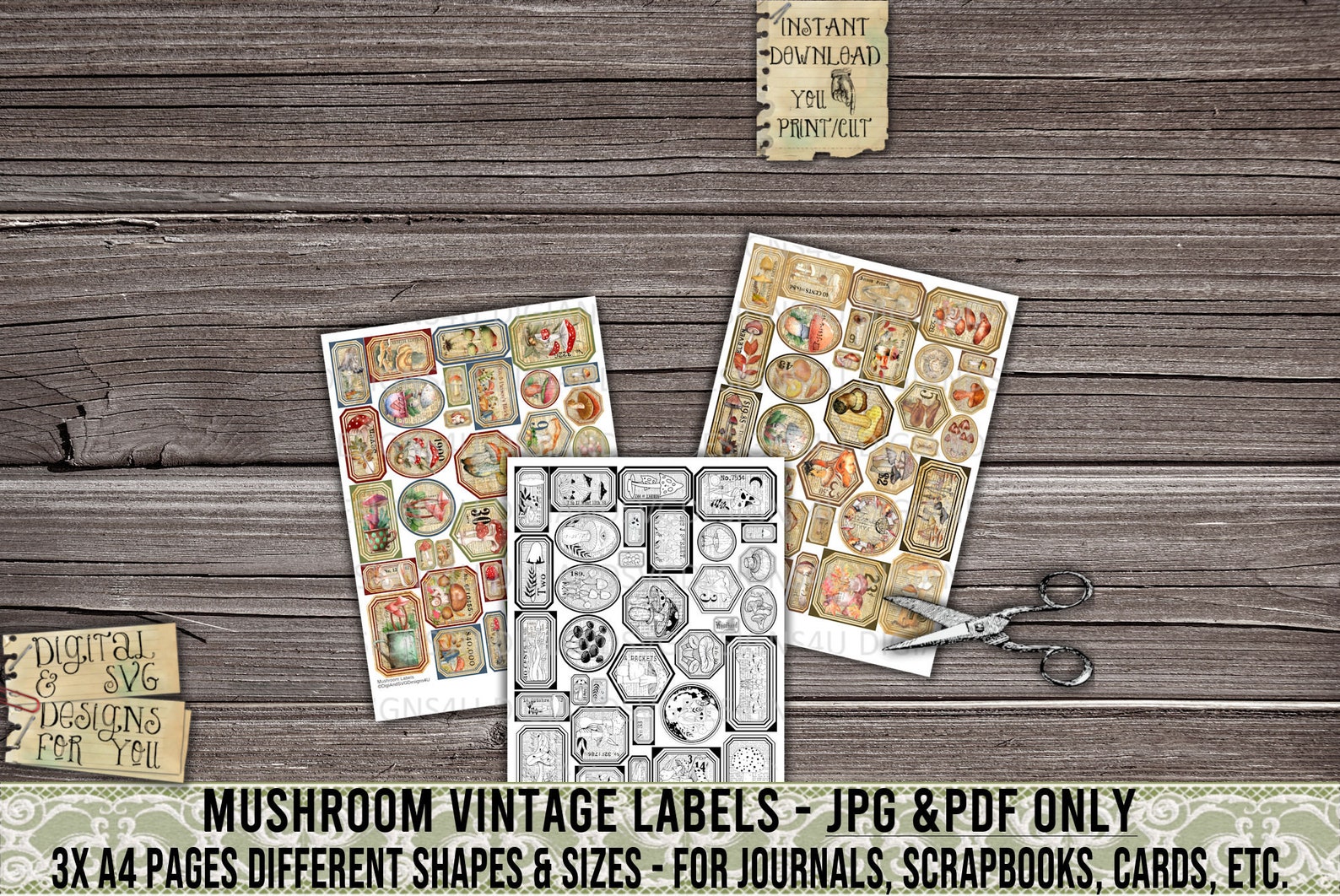 Mushrooms, Vintage, Labels, Text, Numbers, Card Accent, Printable ...