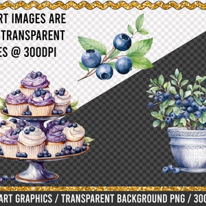 Watercolor Blueberries Clipart Bundle - 30 PNG Images, Blueberry ...