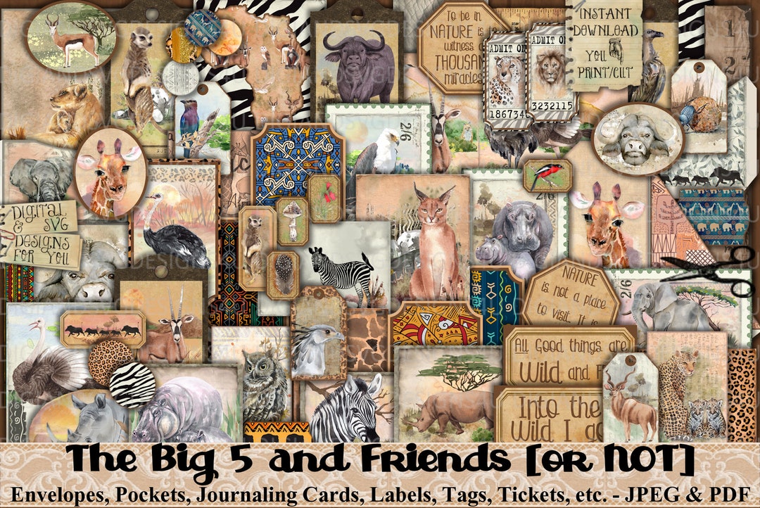 Big 5 and Friends, Big Five, Ephemera, South Africa, Africa, Wild ...