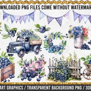 Watercolor Blueberries Clipart Bundle - 30 PNG Images, Blueberry ...