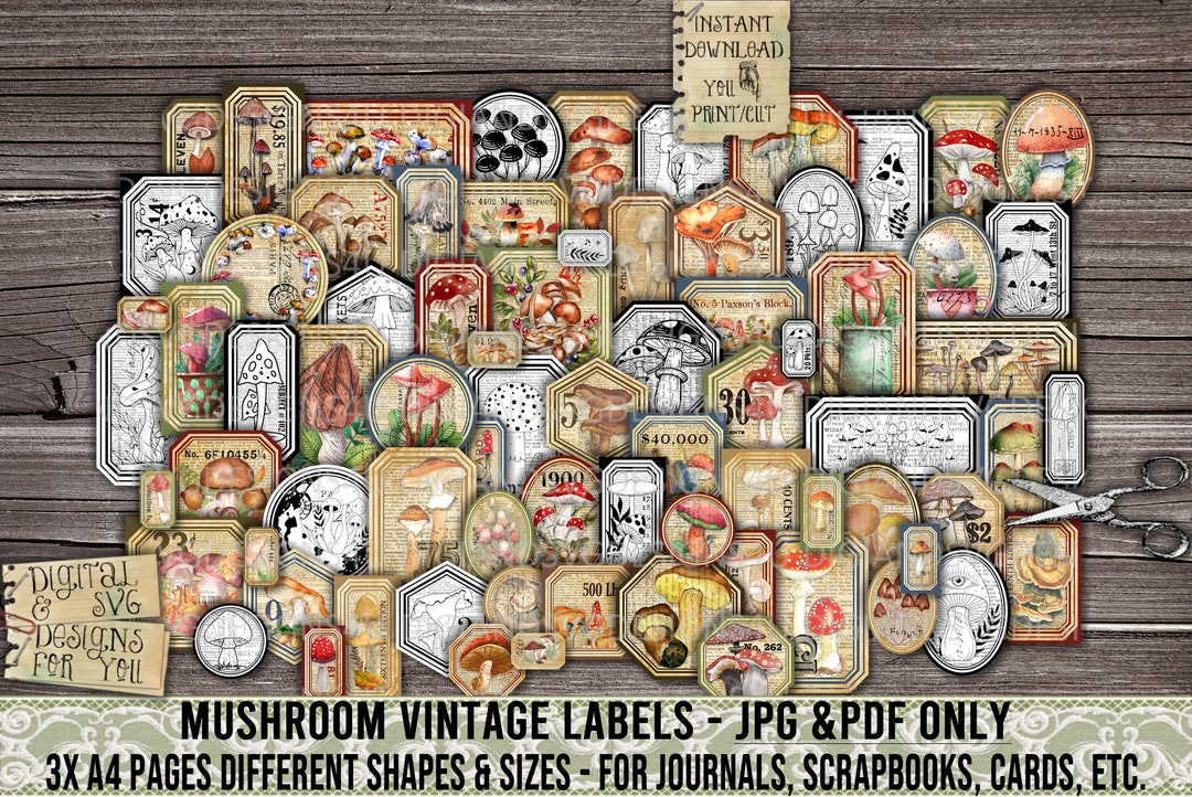 Mushrooms, Vintage, Labels, Text, Numbers, Card Accent, Printable ...