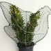 Handmade Topiary Chicken / Hen Frame - for Plants - Perfect for the ...