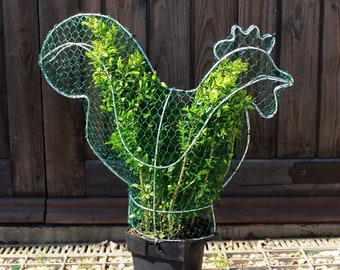 Handmade Topiary Hedgehog Frame for Plants Perfect for the - Etsy