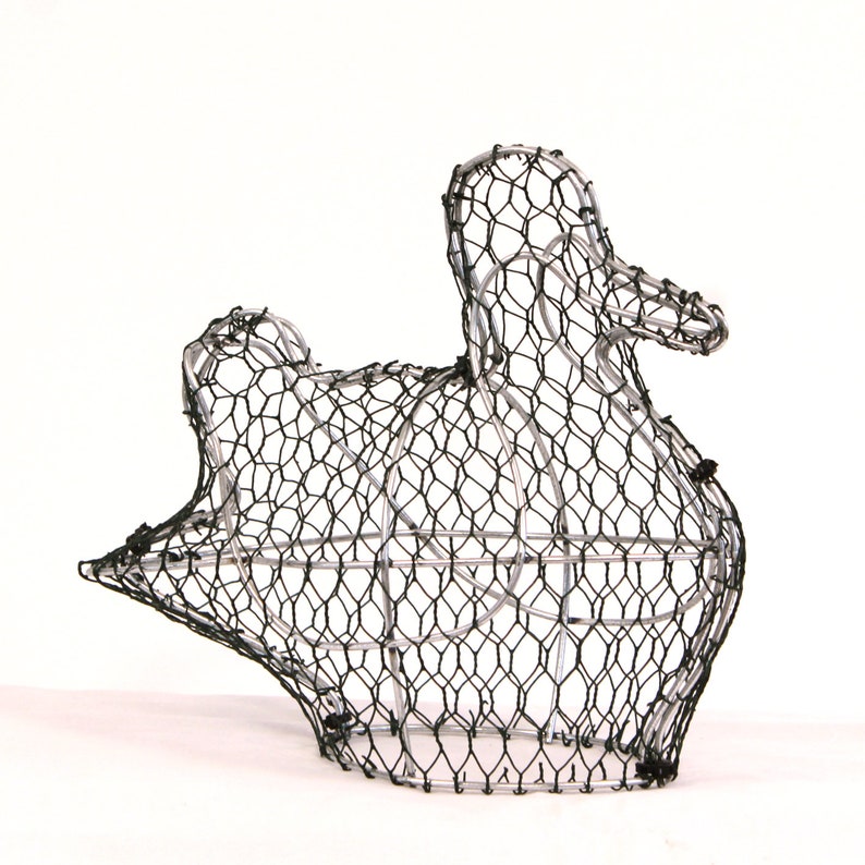 Handmade Topiary Duck Frame for Plants Perfect for the Budding Gardener ...