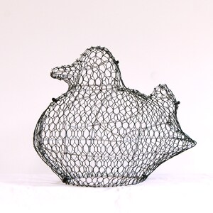 Handmade Topiary Duck Frame for Plants Perfect for the Budding Gardener ...