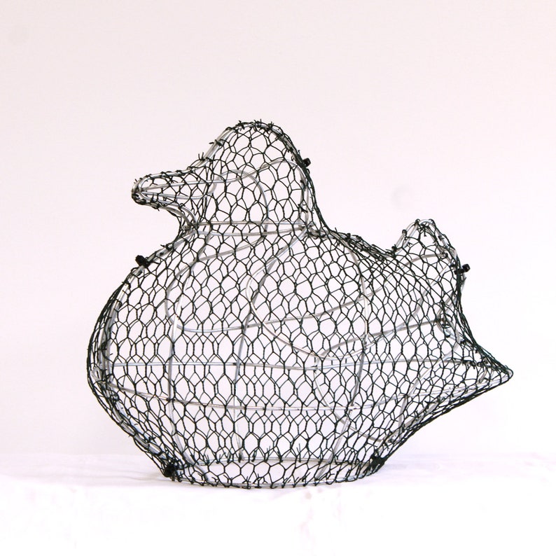 Handmade Topiary Duck Frame for Plants Perfect for the Budding Gardener ...