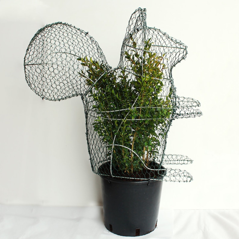 Handmade Topiary Squirrel Frame for Plants Perfect for the Budding ...