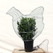 Handmade Topiary Chicken / Hen Frame - for Plants - Perfect for the ...