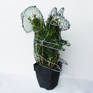 Handmade Topiary Squirrel Frame - for Plants - Perfect for the Budding ...