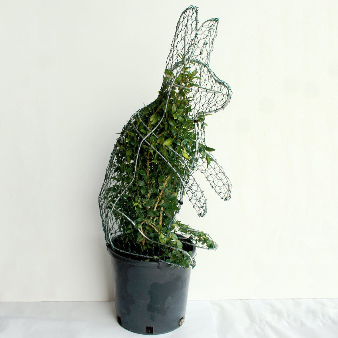 Handmade Topiary Rabbit Frame for Plants Perfect for the Budding ...