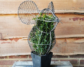 Handmade Topiary Duck Frame for Plants Perfect for the Budding Gardener ...
