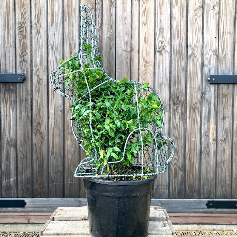 Handmade Topiary Rabbit Frame for Plants Perfect for the Budding ...