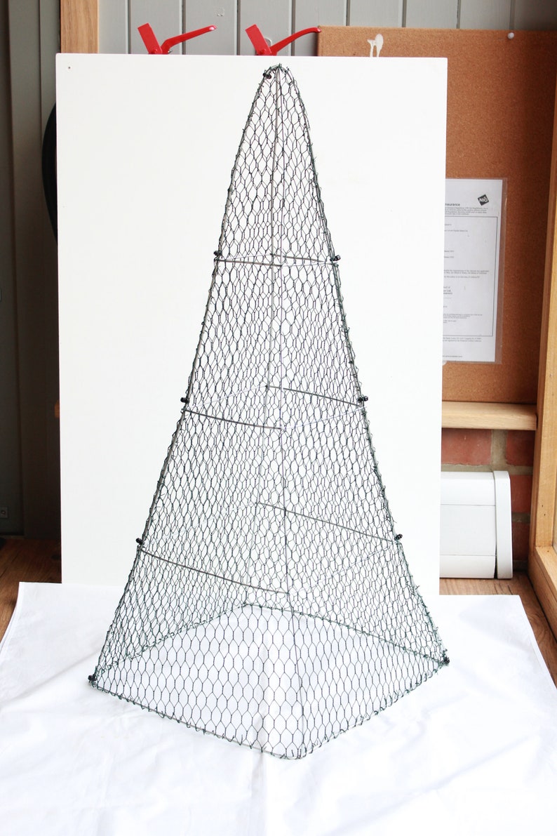 Handmade Topiary Pyramid Frame - for Plants - Perfect for the Budding ...