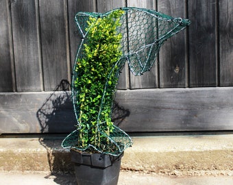 Handmade Topiary Chicken / Hen Frame for Plants Perfect for the Budding ...