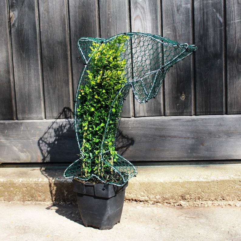 Handmade Topiary Dolphin Frame - for Plants - Perfect for the Budding Gardener! - Etsy