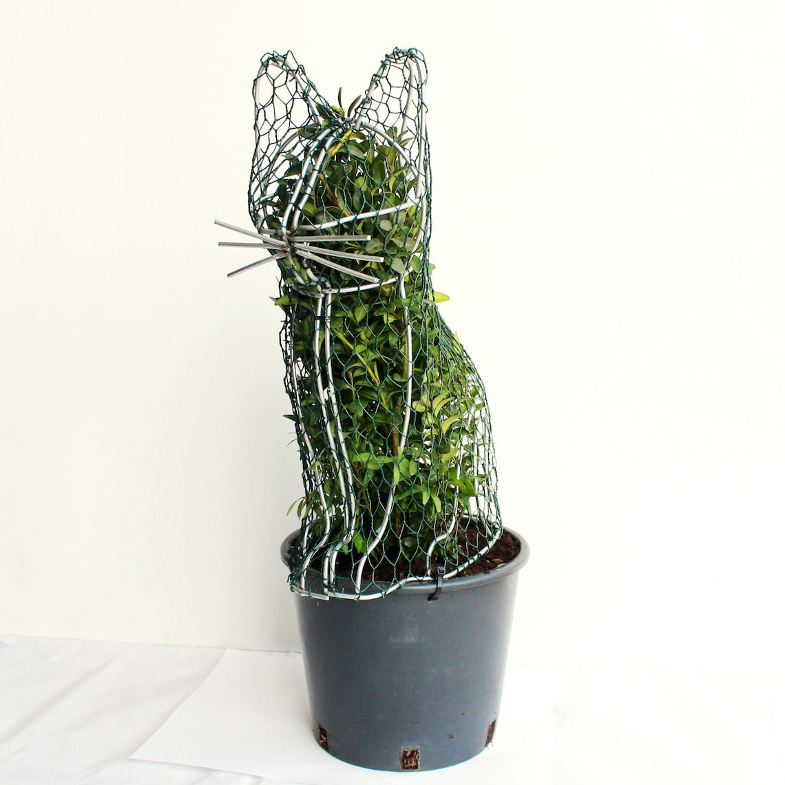 Handmade Topiary Cat Frame for Plants Perfect for the - Etsy