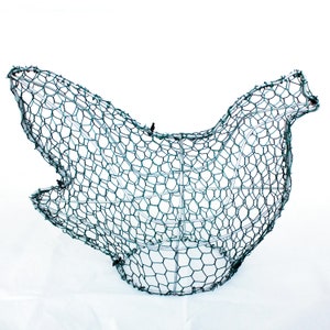 Handmade Topiary Chicken / Hen Frame - for Plants - Perfect for the ...