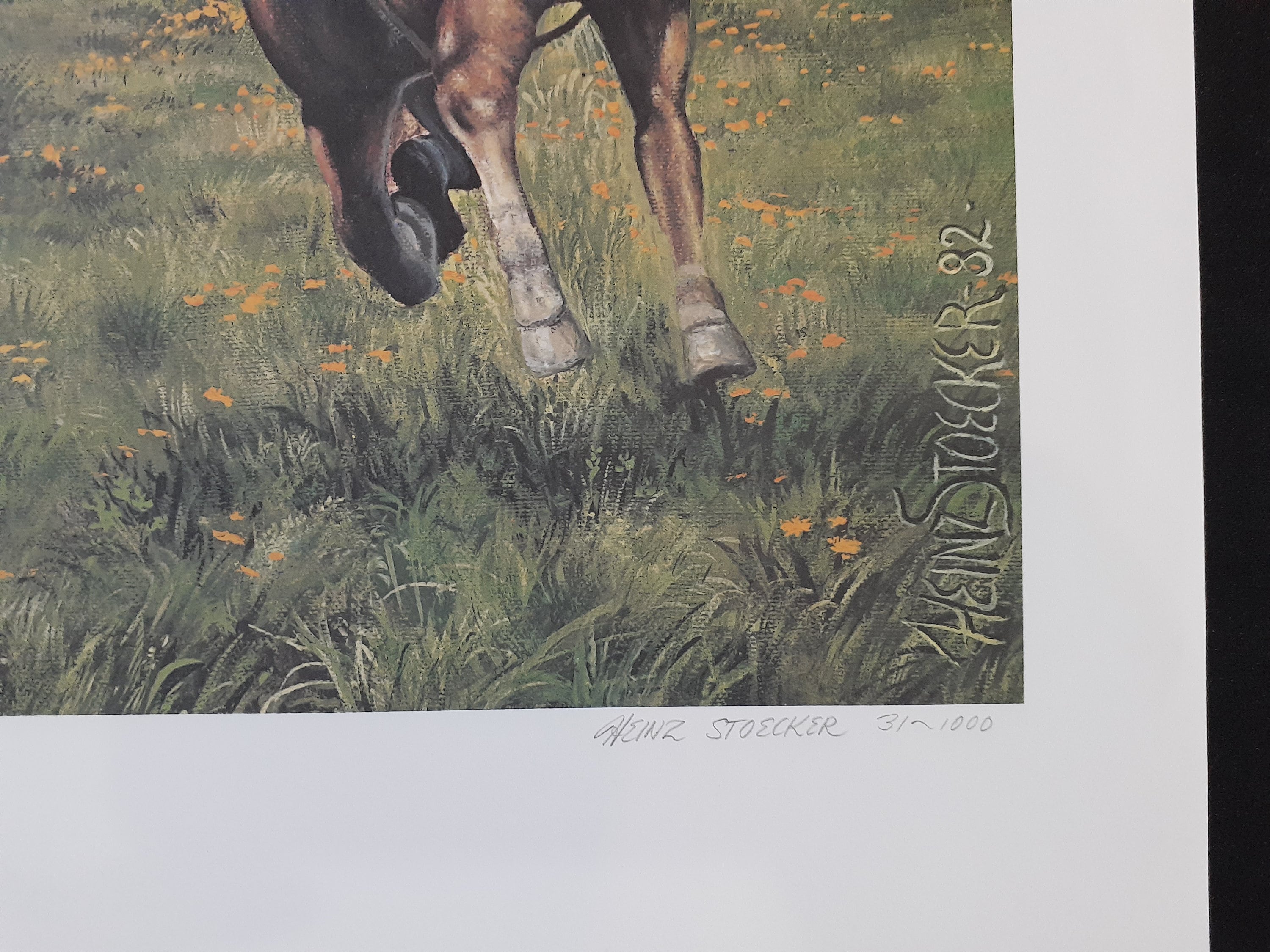 Vintage Mint Heinz Stoecker Prints Limited Edition Signed - Etsy.de