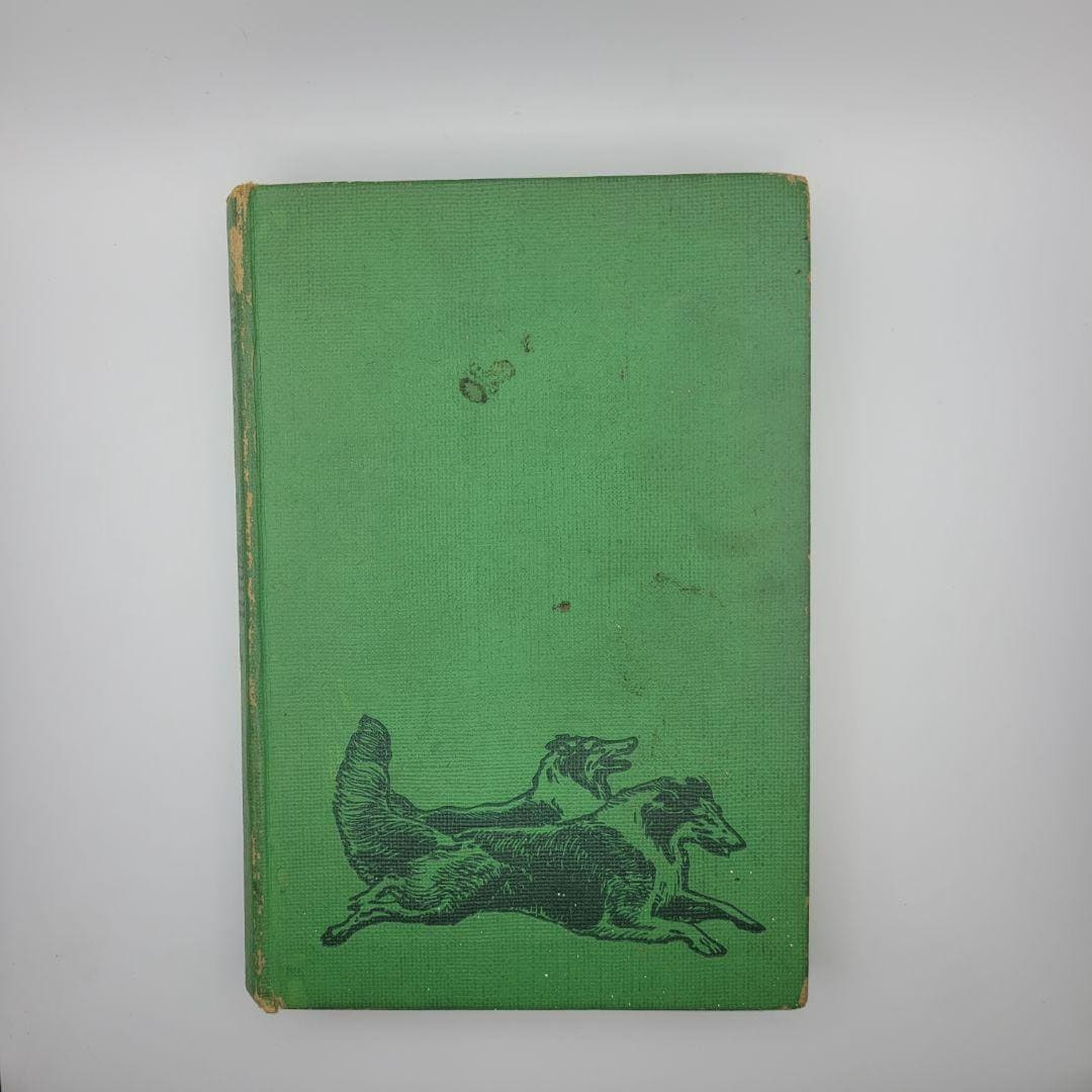 Bruce Book Albert Payson Terhune Hardcover Collie Dog 1920 Origin Story ...