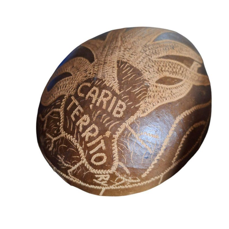 Carved Boab Nut Shells Carib Territo Ethnic Artwork Wall Decor - Etsy