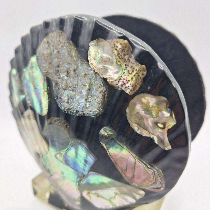 Napkin Letter Holder Abalone Black Shell Ocean Vintage Trends ...