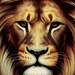 Lion Face Cross Stitch Pattern, PDF Instant Download, Wildlife, Africa ...