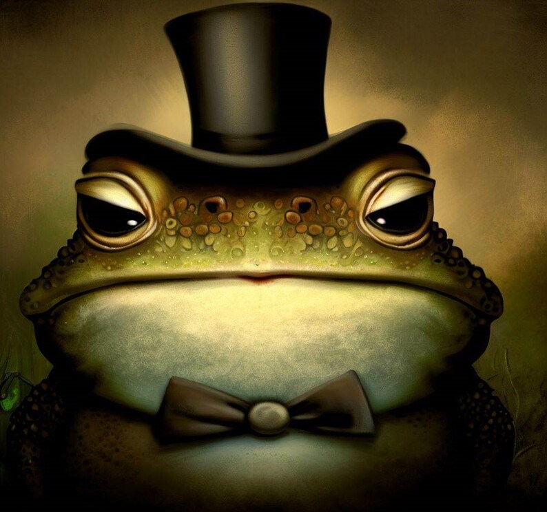 Mr Toad Cross Stitch Pattern, PDF Instant Download, Amphibian Mister ...