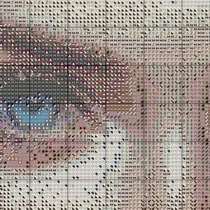 Branwen (white Raven) Welsh Goddess of Love and Beauty Cross Stitch ...