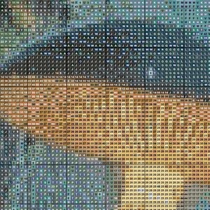 Magpie Witch in the Woods Cross Stitch Pattern, PDF Instant Download ...