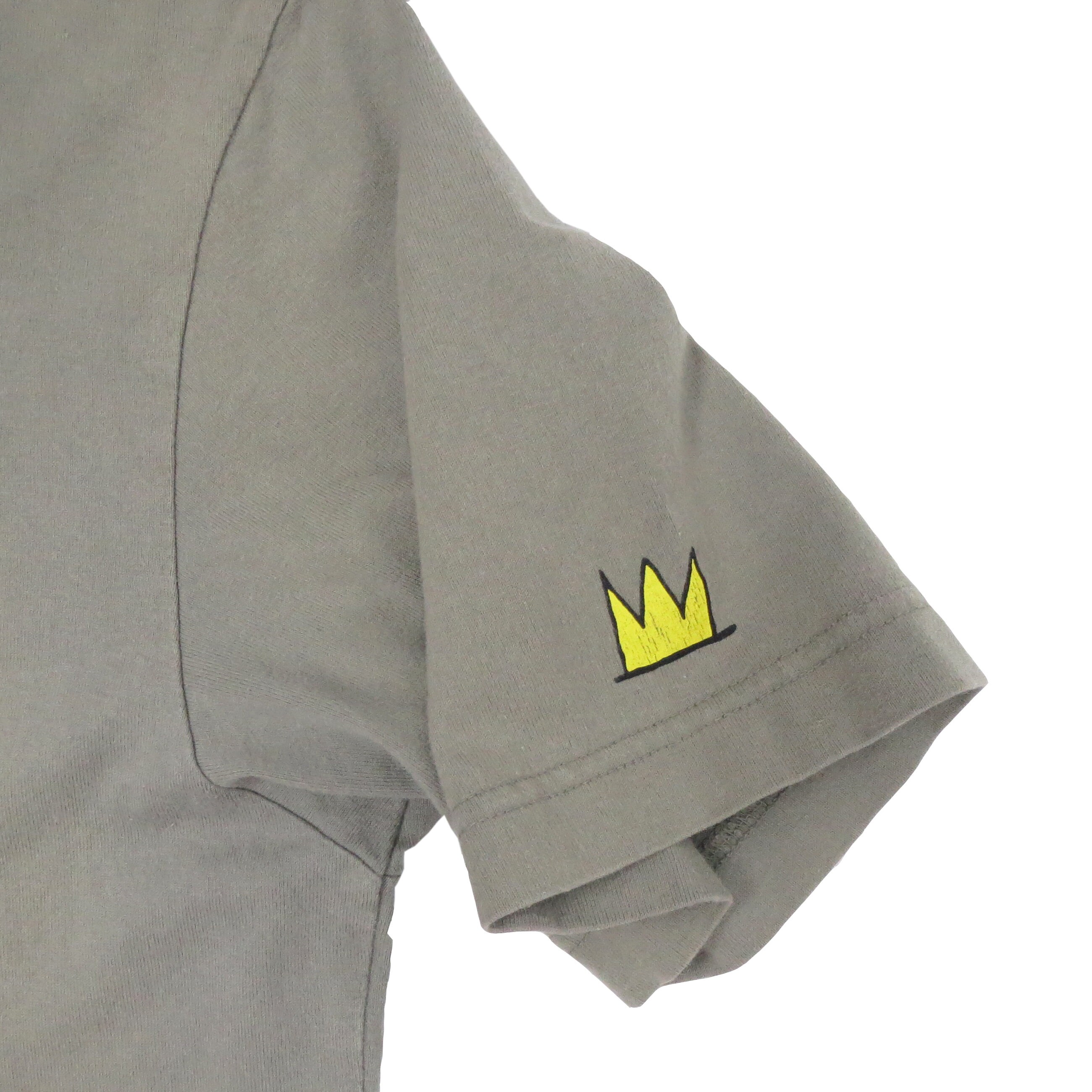 JEAN-MICHEL BASQUIAT Samo the Same Old Crap Front Hit Green Color ...