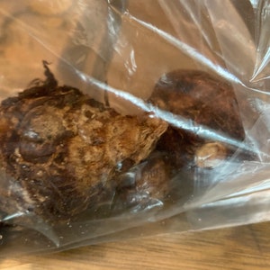 Taro Farm Kit, Kalo colocasia Escuentla Elephant Ear Vegetable Planting ...