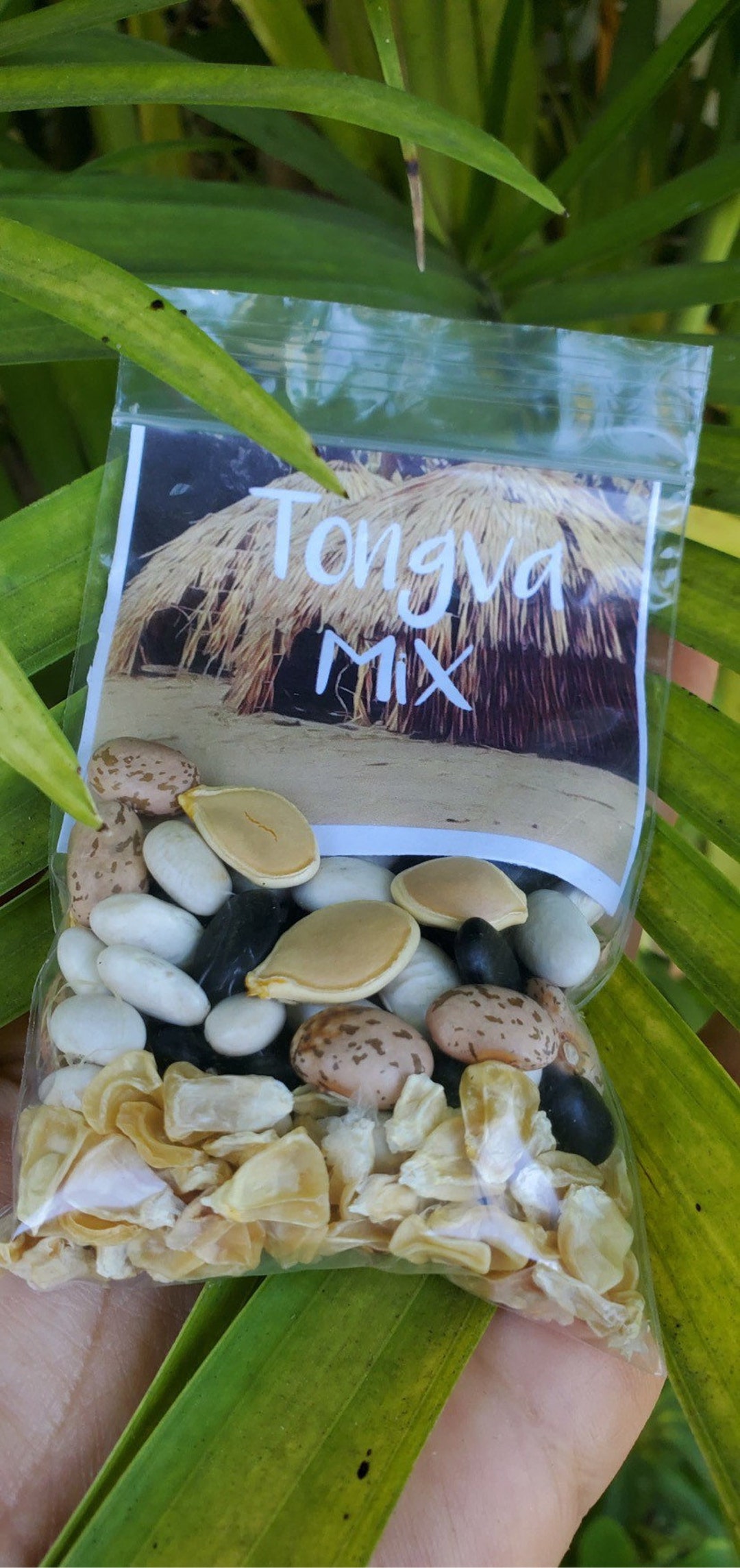 Tongva Seed Garden Kit - Etsy