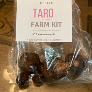 Taro Farm Kit, Kalo colocasia Escuentla Elephant Ear Vegetable Planting ...