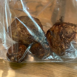 Taro Farm Kit, Kalo colocasia Escuentla Elephant Ear Vegetable Planting ...