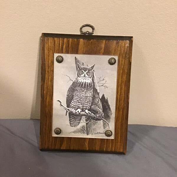Owl Wall Plaque - Etsy