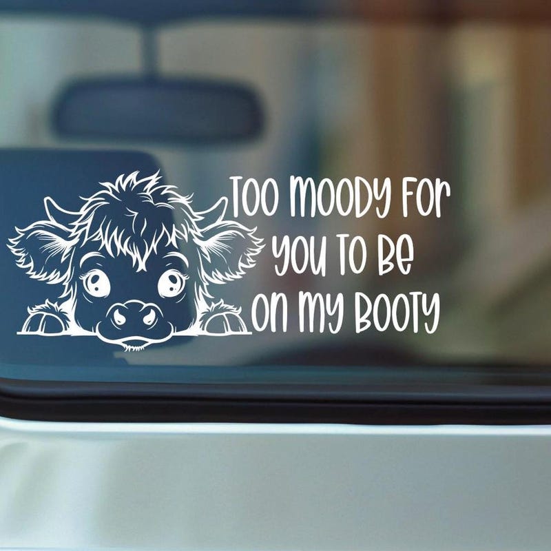 Funny Car Stickers Decals - Etsy