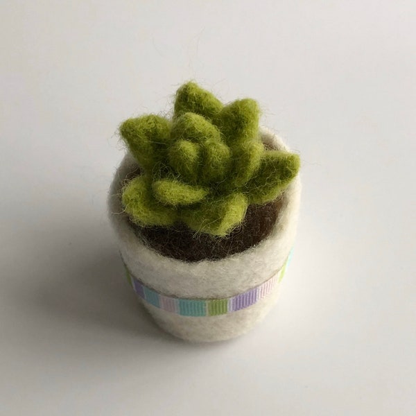 Felt Succulents - Etsy