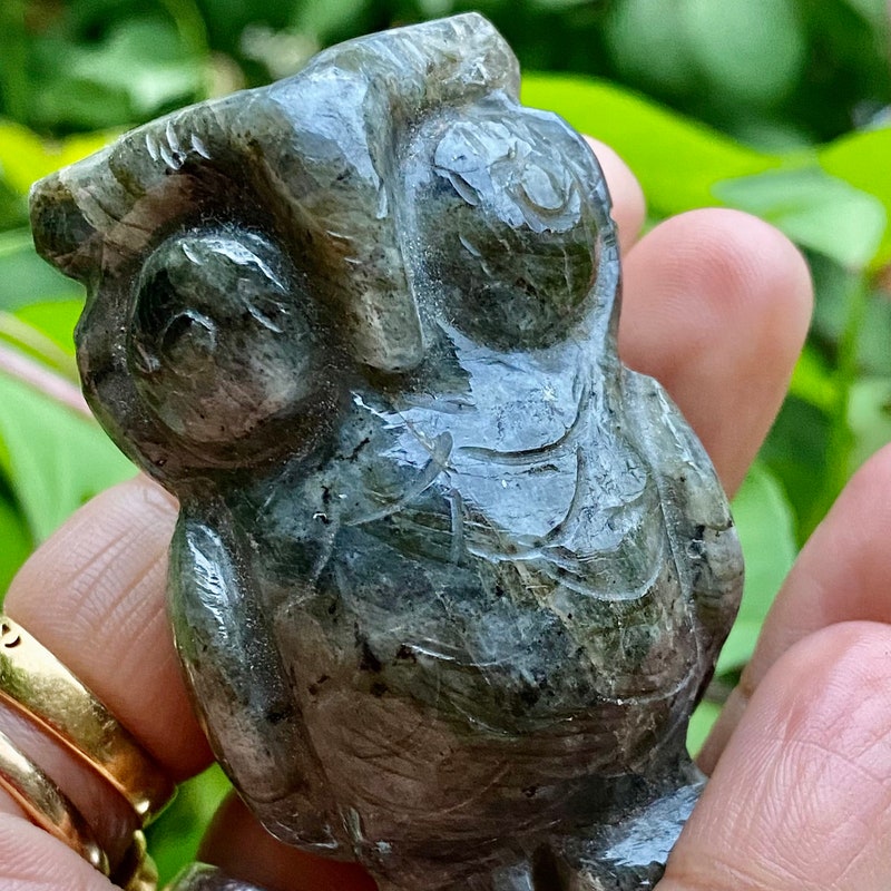 Good Luck Owl - Etsy