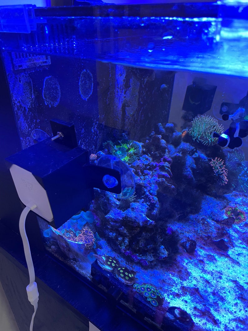 Aquarium Camera Mount for Wyze and Blink Cameras- Suction Cup - Etsy