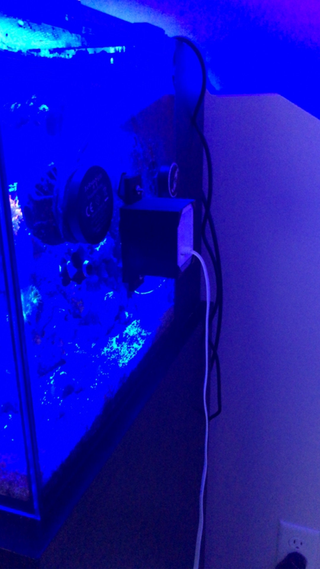 Aquarium Camera Mount for Wyze and Blink Cameras- Suction Cup - Etsy