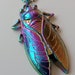 Large Rainbow Cicada Necklace on Rainbow Steel Chain or Black Thong ...