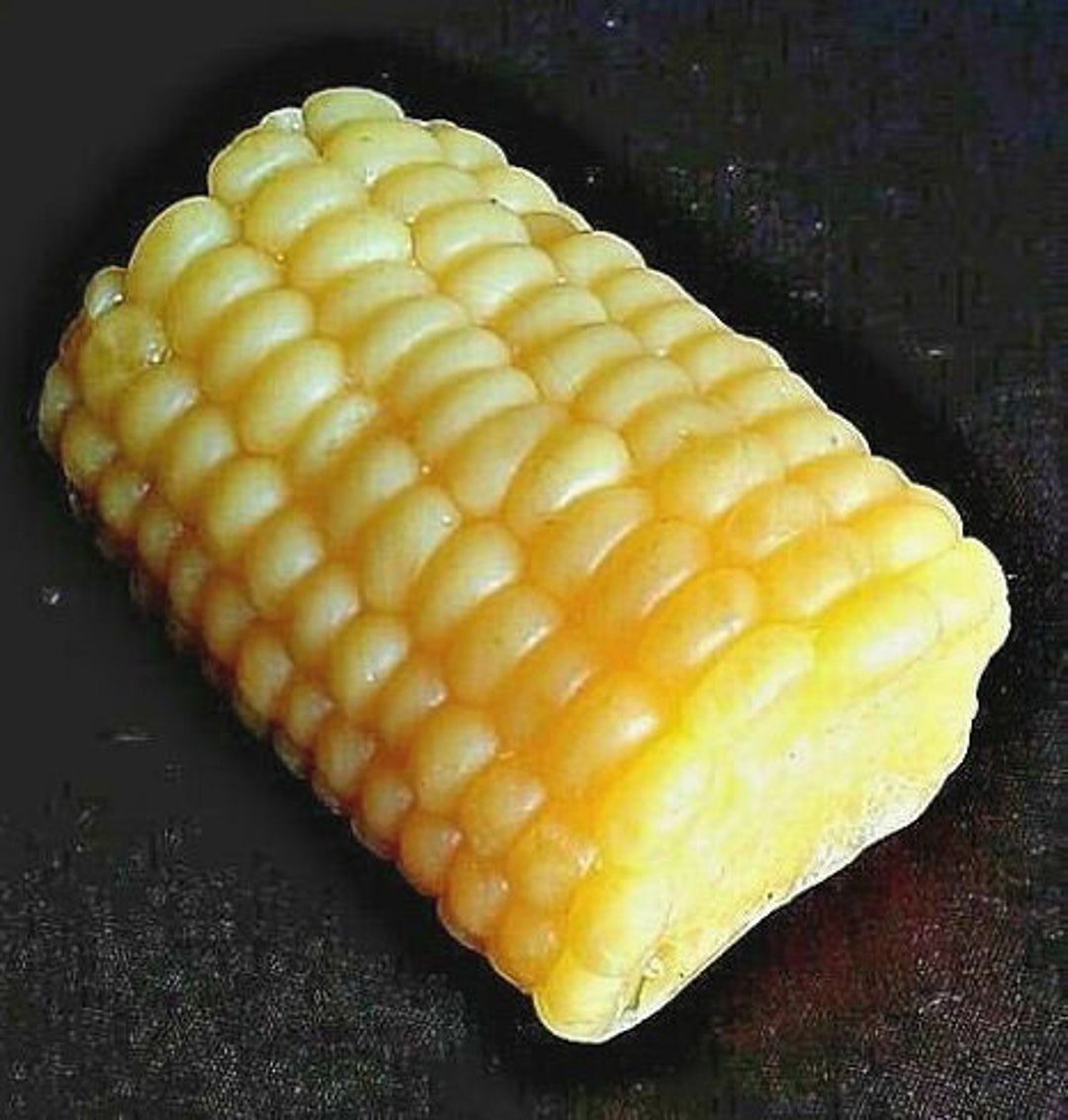 Wax Fake Food, Corn on the Cob , Props, Display - Etsy