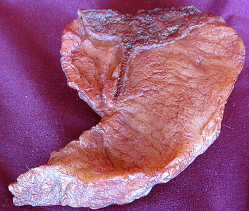 Wax Fake Pork Chop Display Wax Fake Food Props Fake Meat - Etsy