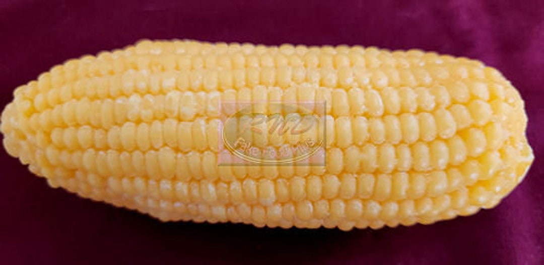 Corn on the Cob, Wax Fake Food, Prop, Display, Movie Prop - Etsy