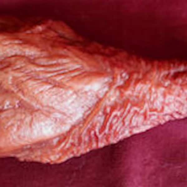 Fake Food Props - Etsy