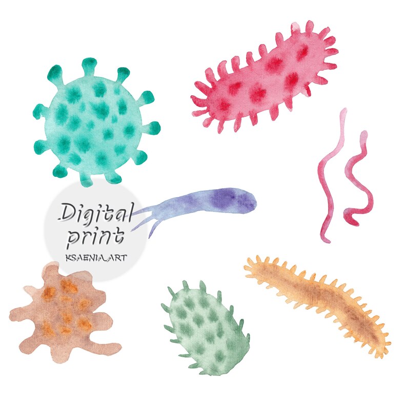 Set of 6 Medical Watercolor Clipart Hand Painted Artwork of | Etsy