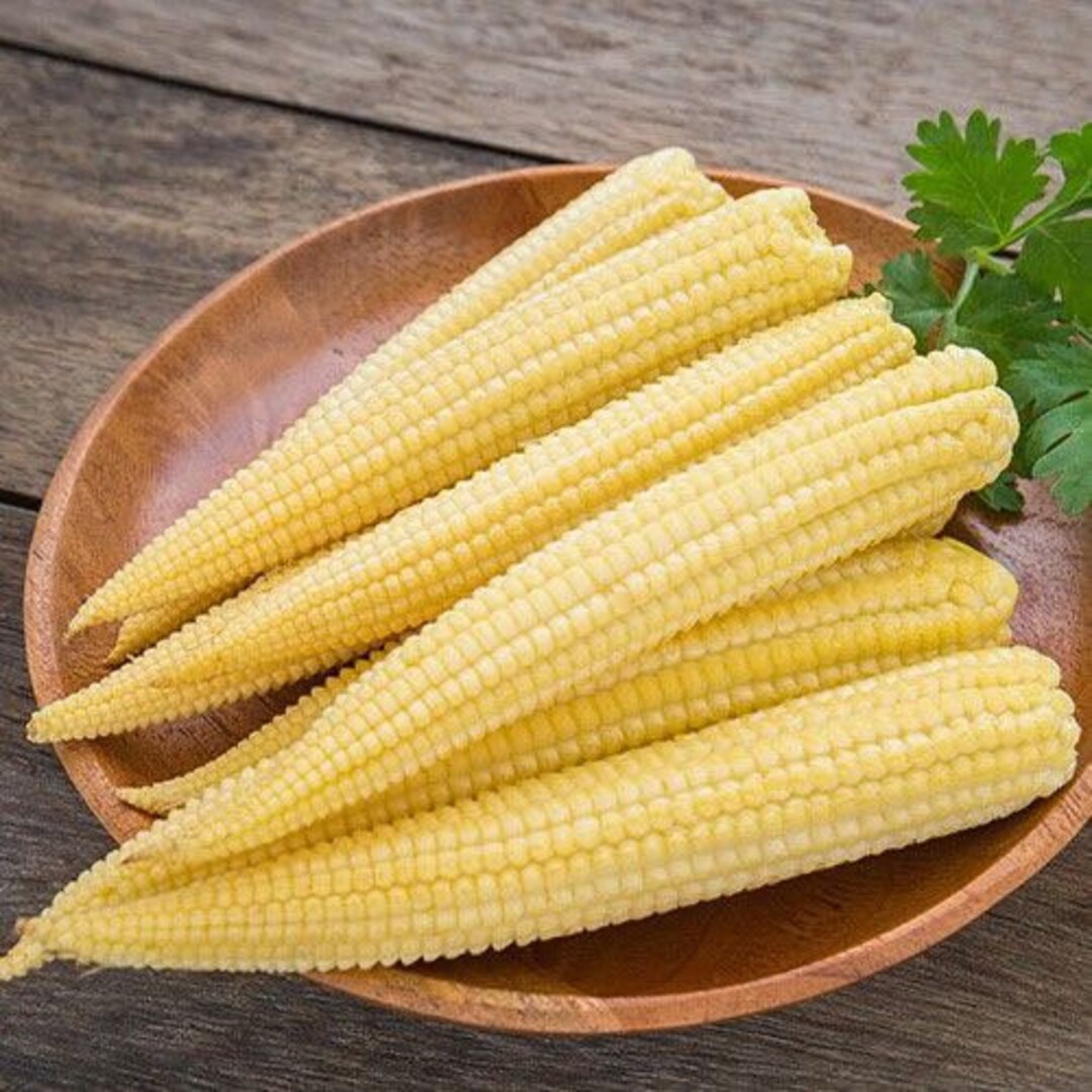 Baby Corn Seed - Etsy