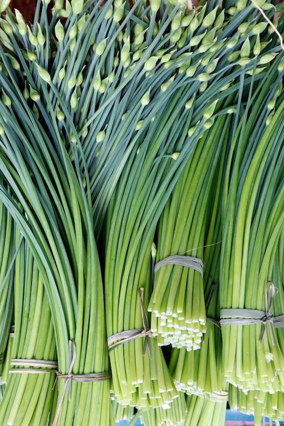 Chinese Chives Seeds